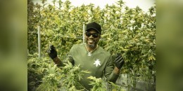 NBA Legend Udonis Haslem Launches 'FORTY OG' Cannabis Strain with The ...