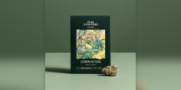 Pure Sunfarms Unveils Four New BC Grown Strains from its Sunlit ...