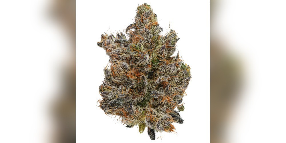 Dark Karma Strain: Everything You Need To Know | Cannabis Products World
