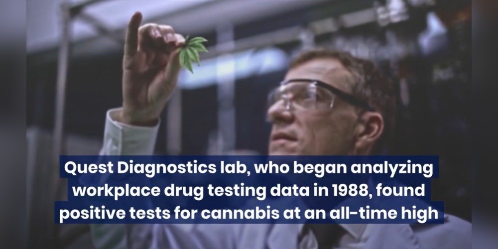 Aphrodisiac-Infused Marijuana: New York's Emerging Love Drug | Cannabis ...