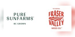 Pure Sunfarms Launches The Original Fraser Valley Weed Co. | Cannabis ...